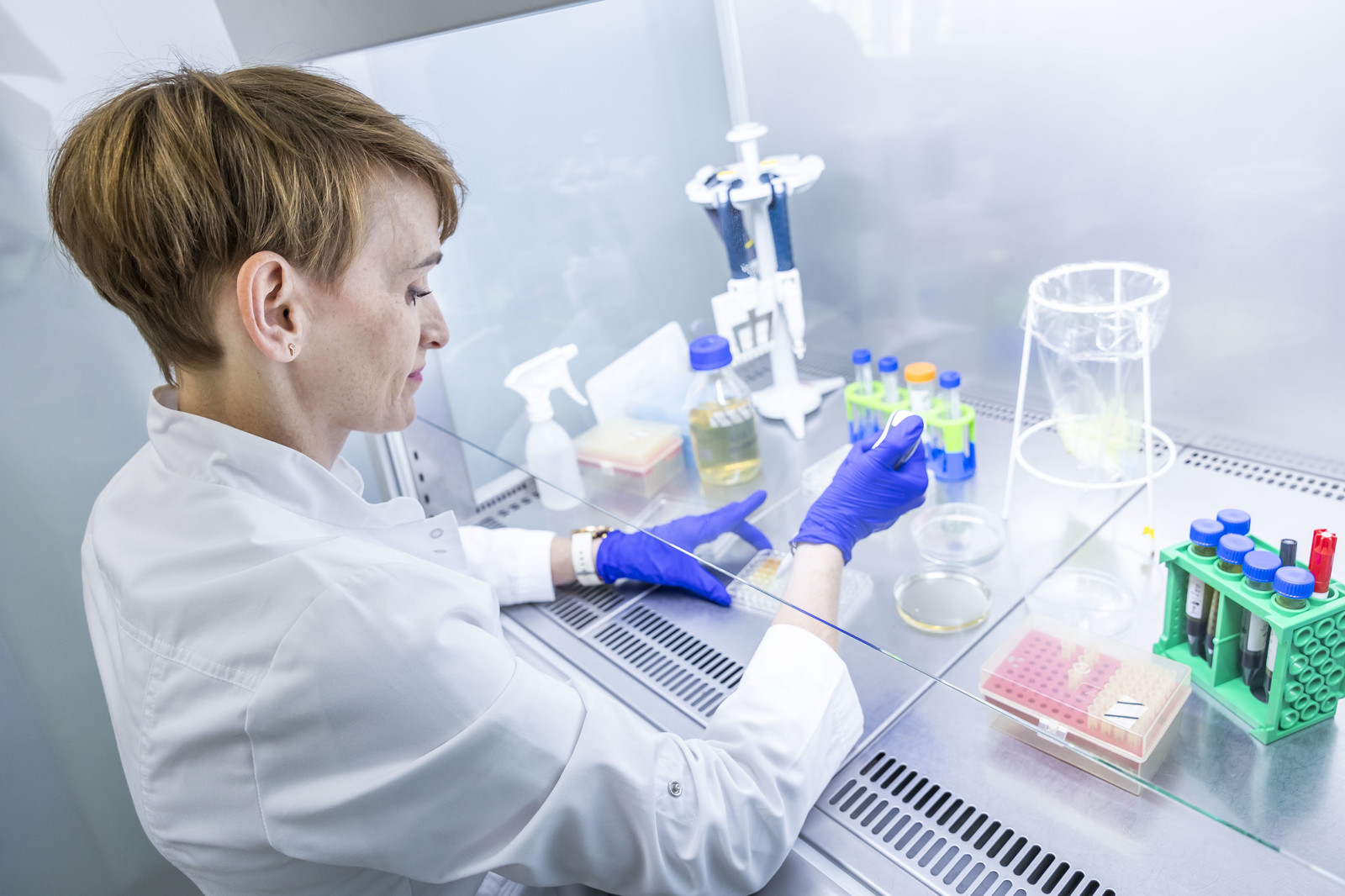 Evaluation of the antimicrobial activity of selected European fungal ...